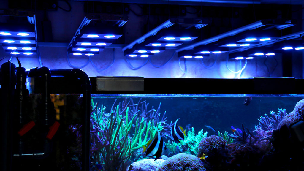 Stuart Bertram – AquaIllumination