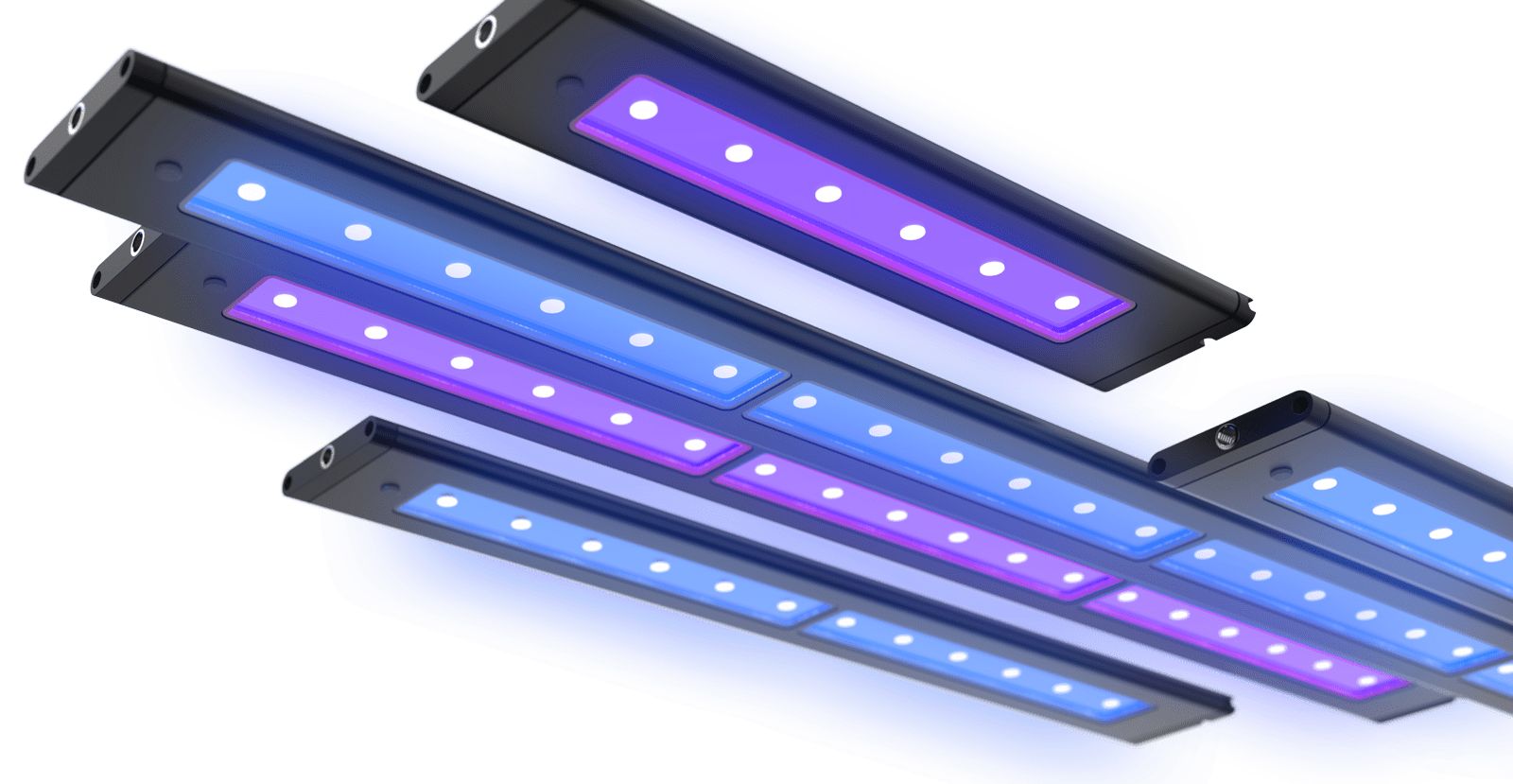 AquaIllumination - Unleash Your Tank's Full Potential